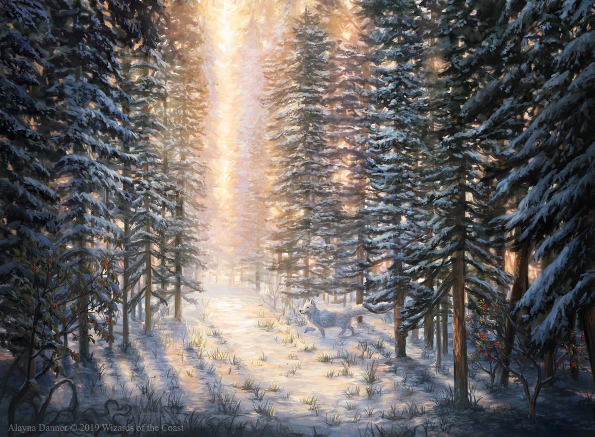 Snow-Covered Lands: History And Info - Draftsim