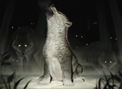 The 27 Best Wolves in Magic Ranked - Draftsim
