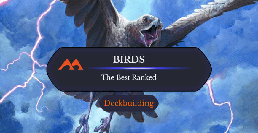 The 50 Best Birds in Magic Ranked - Draftsim