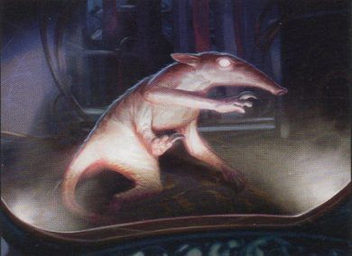 How to Use the Light Test to Determine if Your MTG Cards Are Real or ...