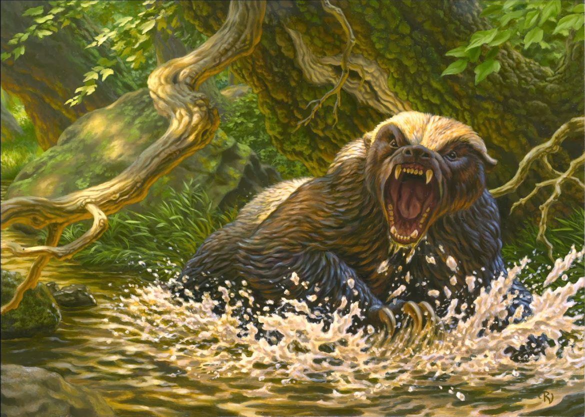 All 12 Badgers in Magic Ranked - Draftsim