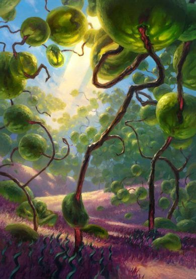 The 25 Best Forest Art in Magic Ranked - Draftsim
