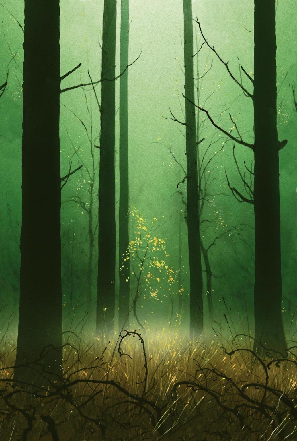 The 25 Best Forest Art in Magic Ranked - Draftsim